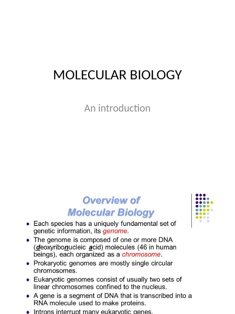 Intro To Molecular Biology | PDF