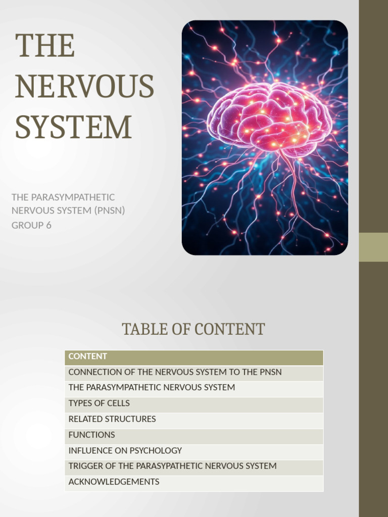 The Nervous System (Phychology Presentation) s1 (Autosaved) | PDF ...