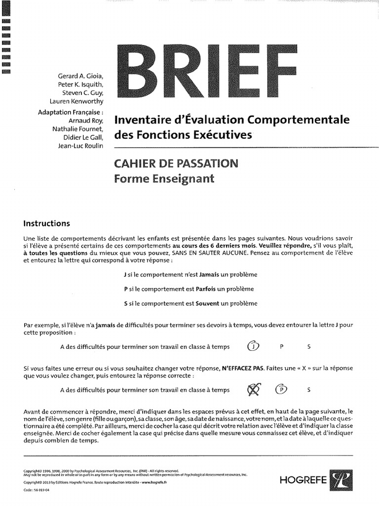 BRIEF Questionnaire Enseignant | PDF