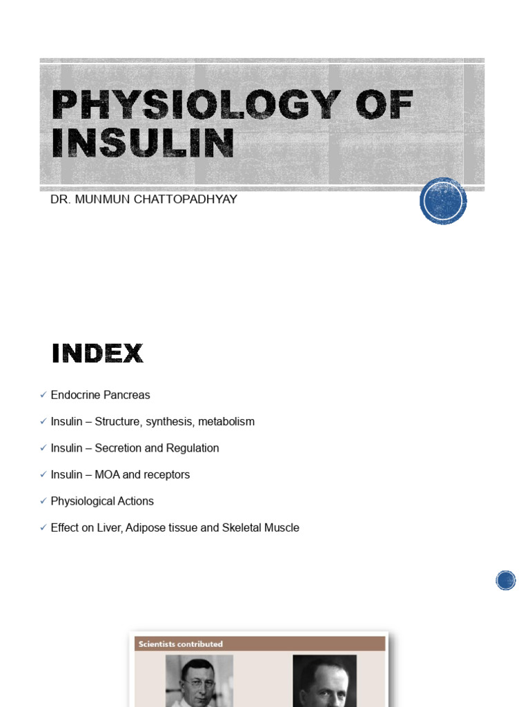 Insulin Physiology: Structure, Secretion, Actions | PDF | Insulin | Glucose