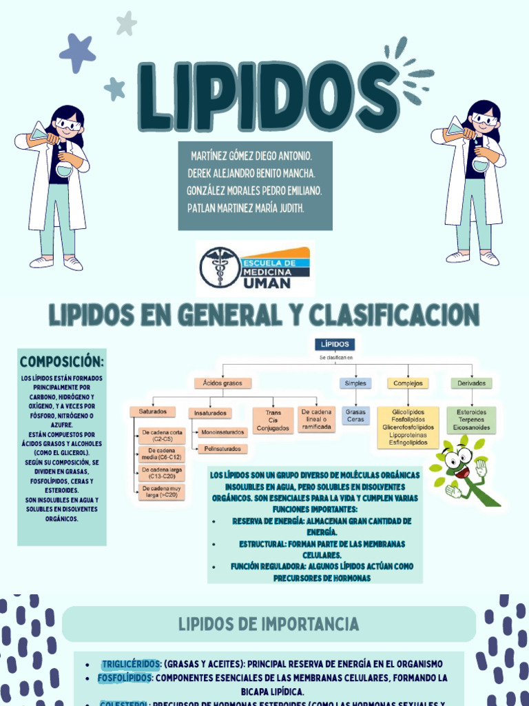 Clasificación y Funciones de los Lípidos | PDF | Lípido | Ácido graso