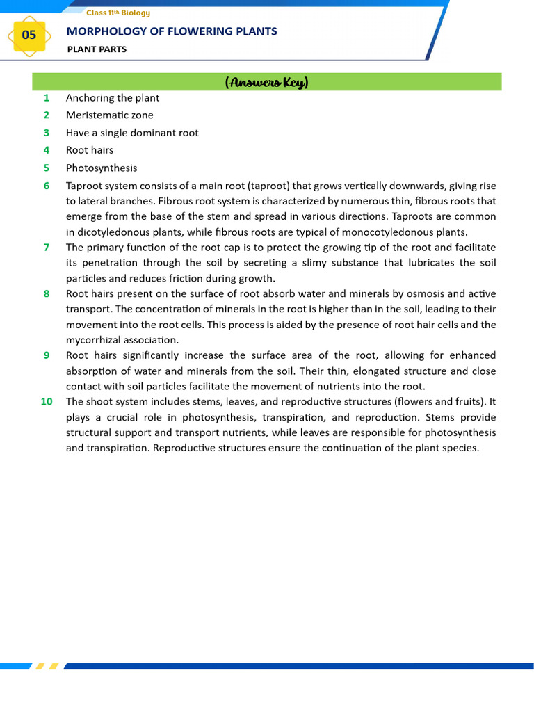 2. Plant Parts | PDF