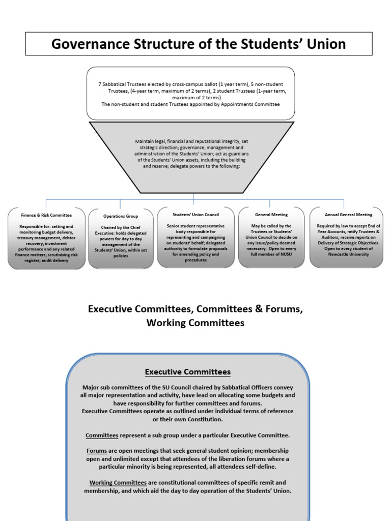 712951EA Decision Making Structure Final 1-7-20 | PDF | Governance ...