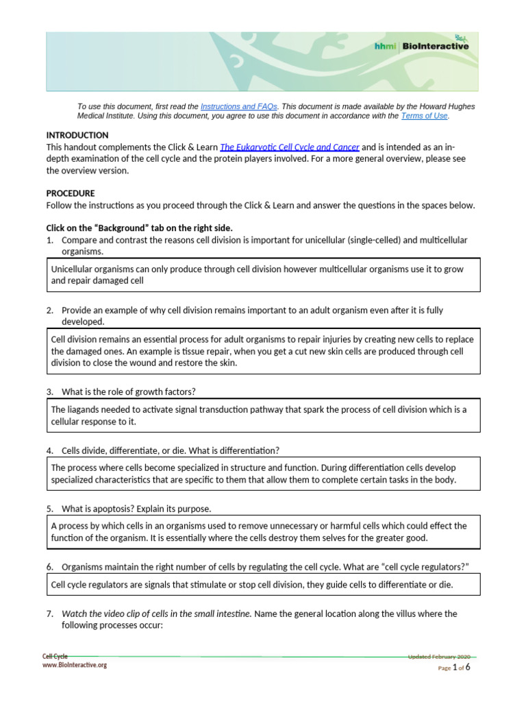 Eukaryotic Cell Cycle & Cancer Overview | PDF | Cell Cycle | Tumor ...