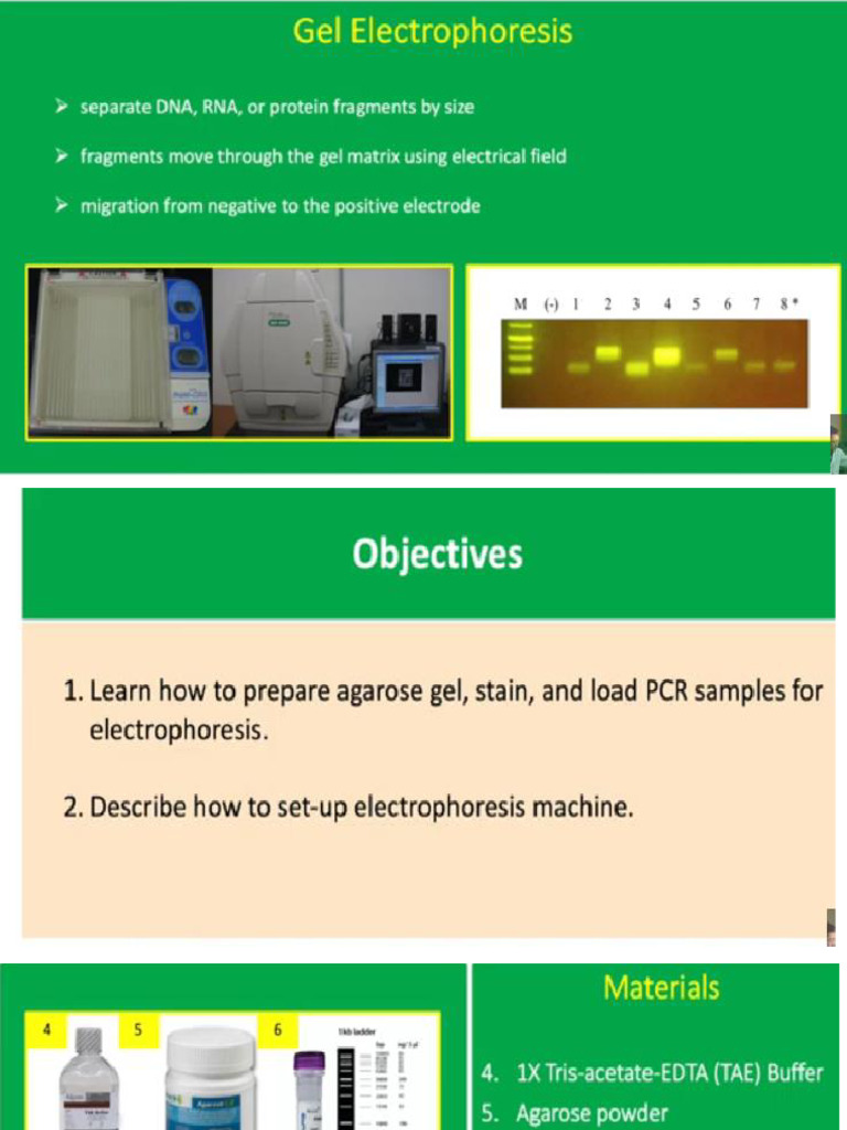 Electro Bioch M2 | PDF