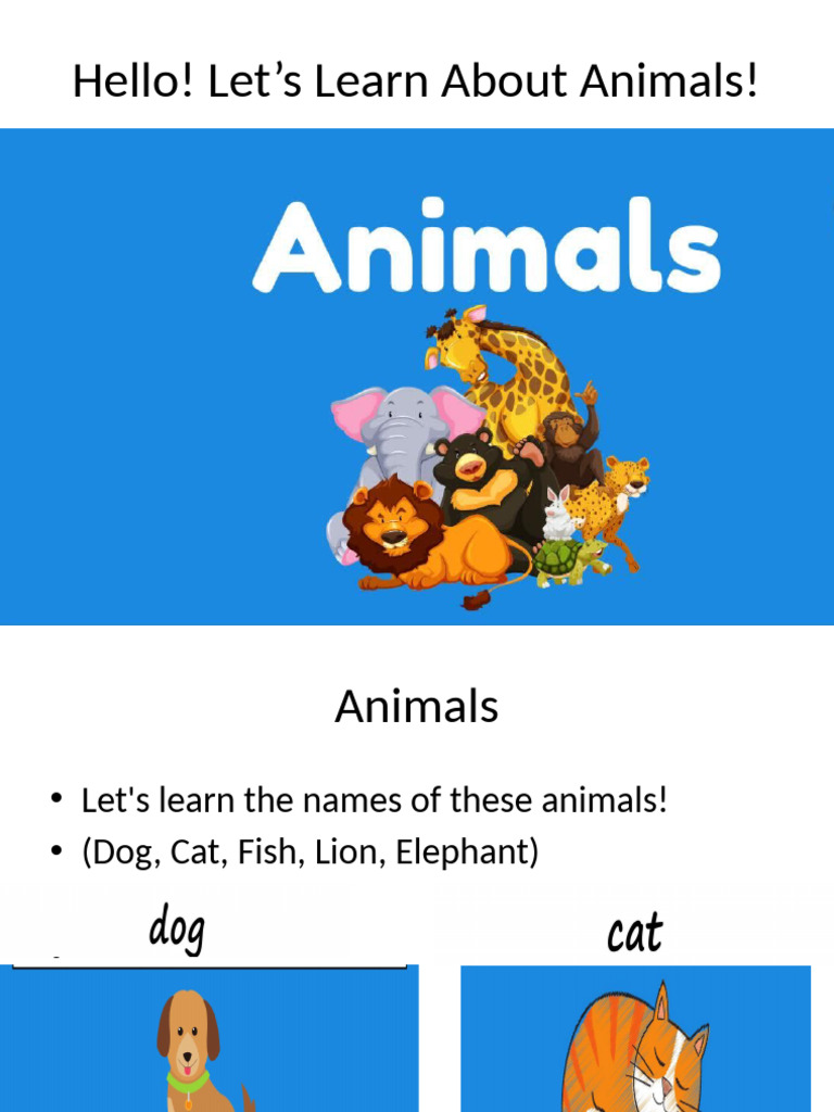 Animals English Lesson | PDF