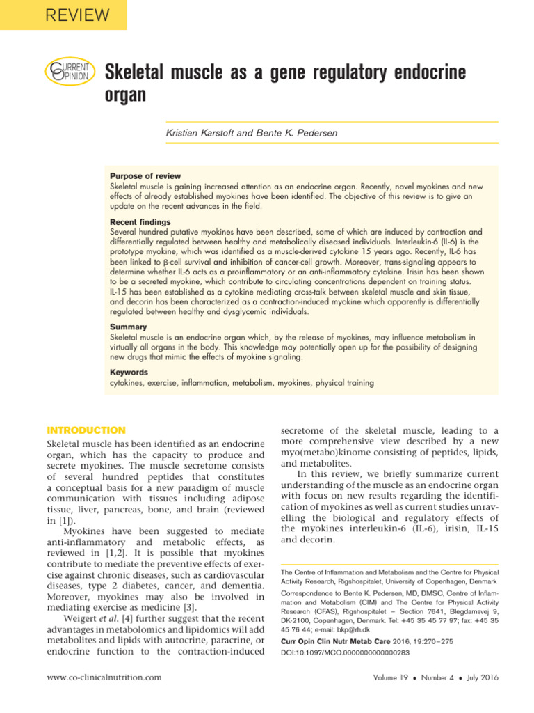 Myokines: Skeletal Muscle's Endocrine Role | PDF | Interleukin 6 ...