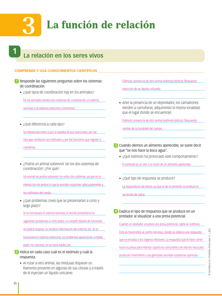 3RA UNIDAD La Funcion de Relacion | PDF | Sentidos | Percepción visual