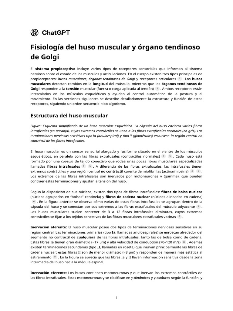 Fisiología del Huso Muscular y Golgi | PDF | Músculo | Sistema nervioso
