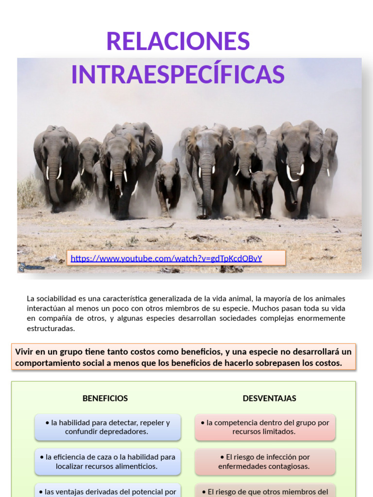Relaciones Intraespecíficas: Beneficios y Costos | PDF | Biología ...