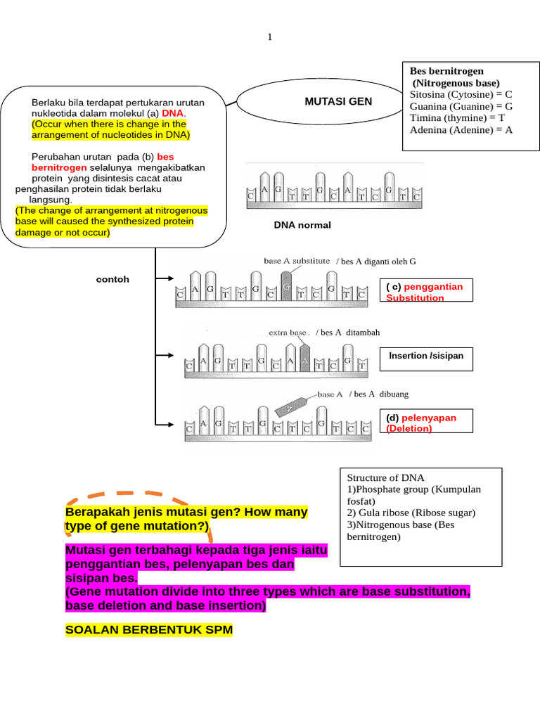 Mutasi Gen | PDF