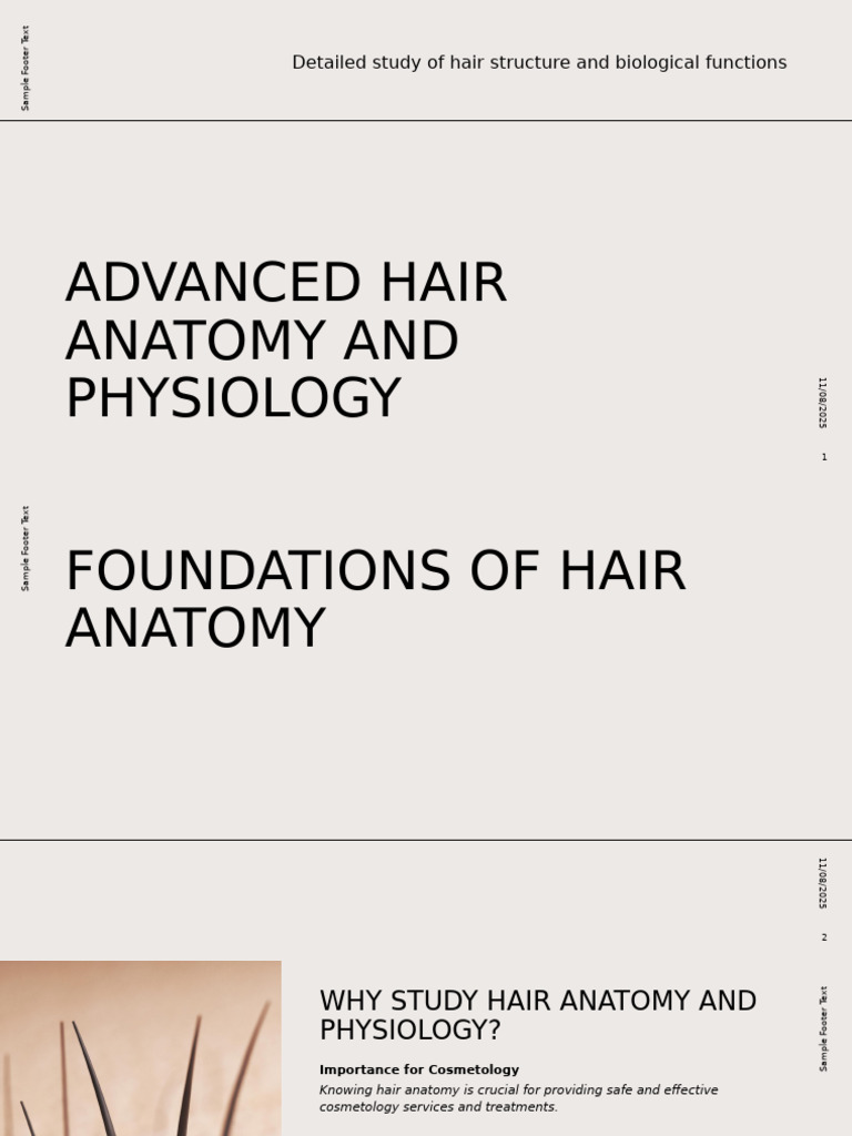 Advanced Hair Anatomy Presentation | PDF | Hair | Integumentary System