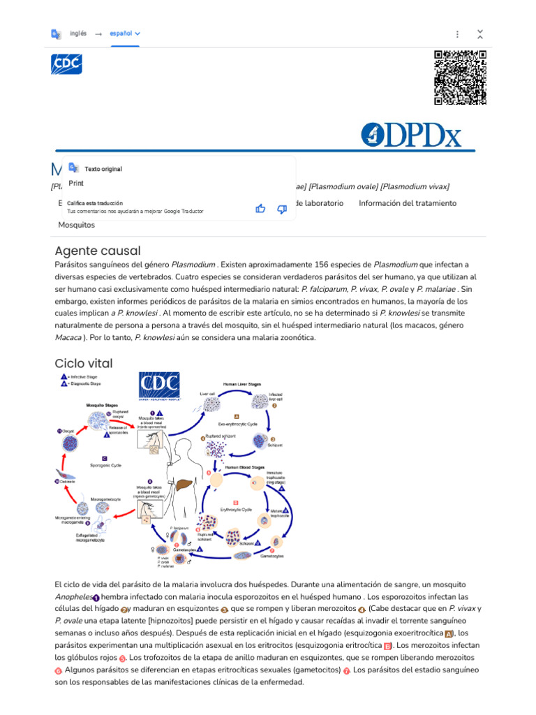 CDC - DPDx - Malaria | PDF | Plasmodium | Malaria