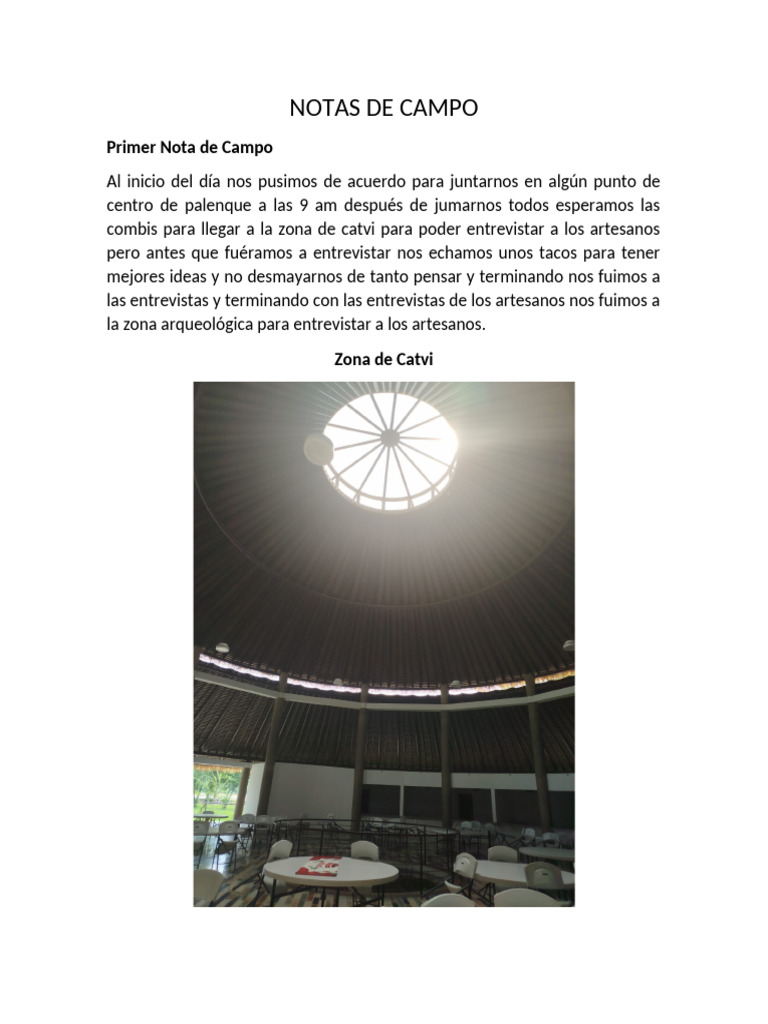 Notas de Campo | PDF