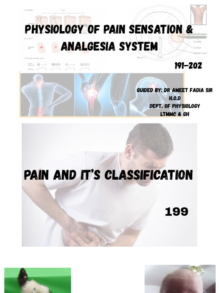 Physiology of Pain Sensation & Analgesia System 20250621 181816 | PDF ...