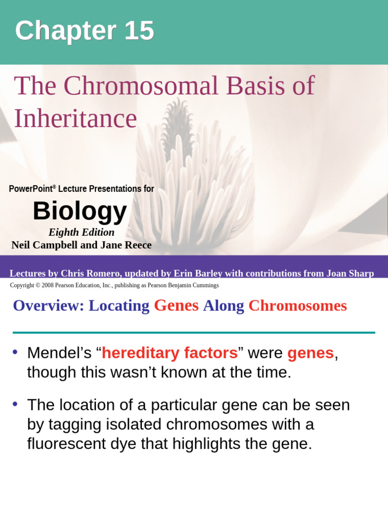 Chromosomal Basis of Inheritance | PDF | Genetic Linkage | Allele