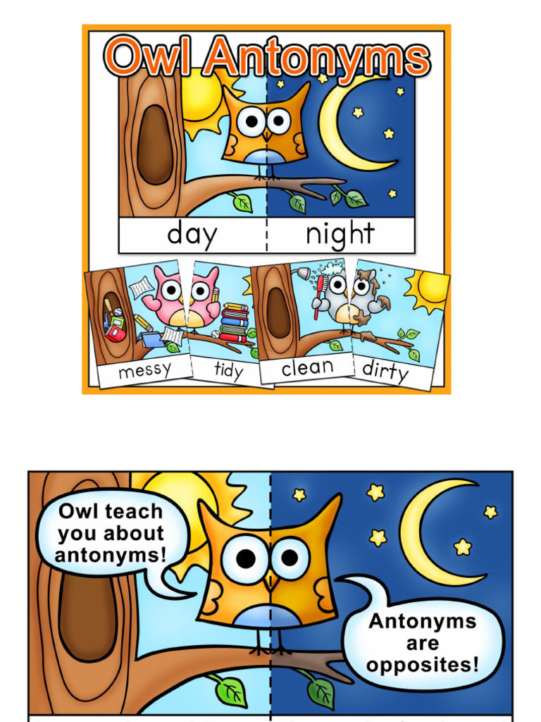 PCS Owl Antonyms Posters FullPage Color | PDF