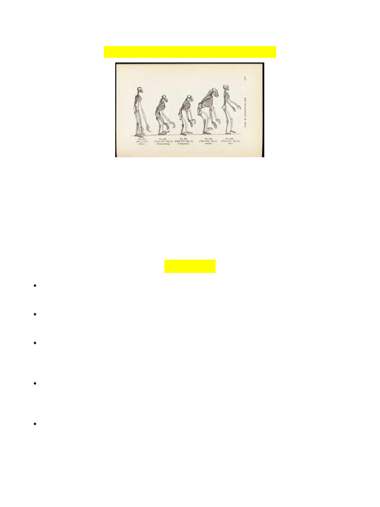 Teori Evolusi: Mekanisme dan Bukti | PDF