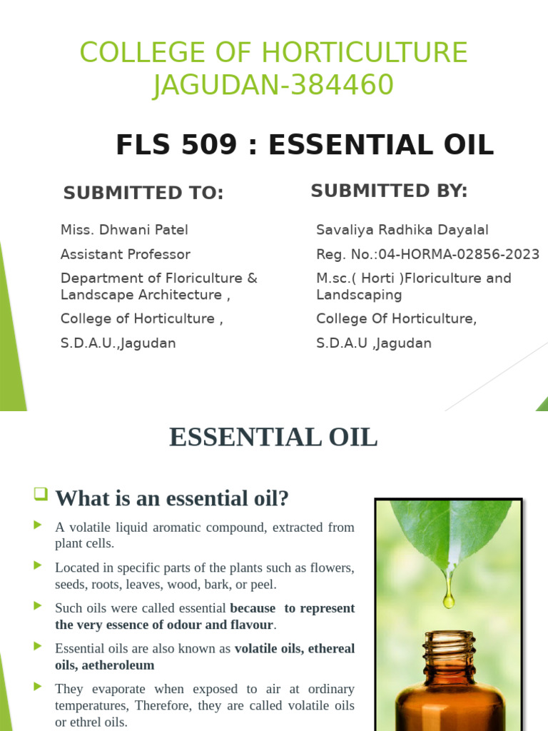 Essential Oils: History and Extraction Methods | PDF | Essential Oil ...