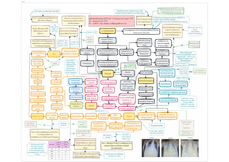 Mind MAP - MICU2 pathophysiology - CCN21 เลขที่ 13,49 | PDF