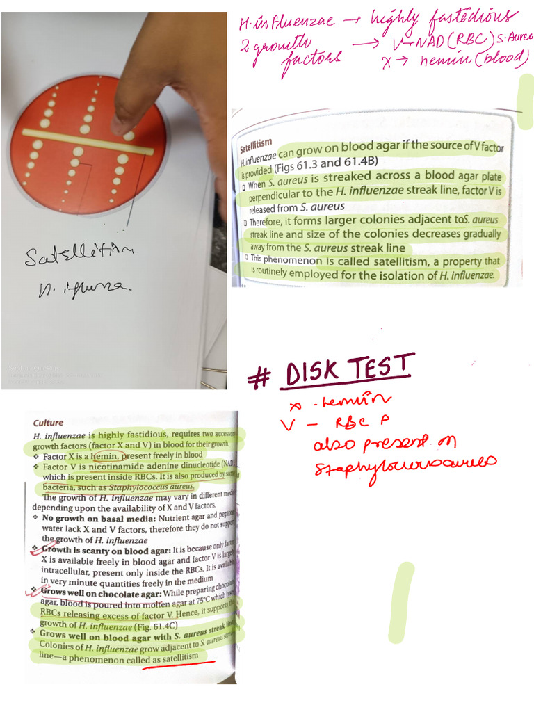 Flash Card PDF | PDF