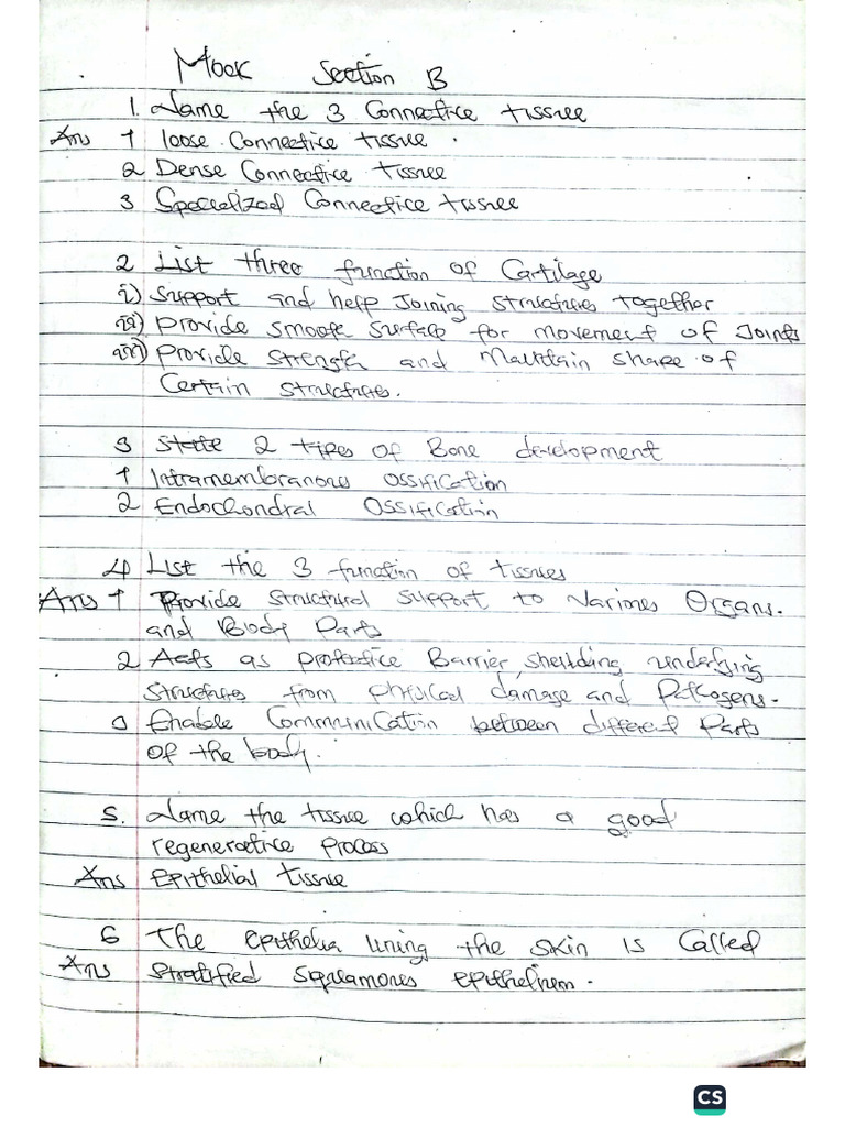 2022 Mock Section B Answers | PDF
