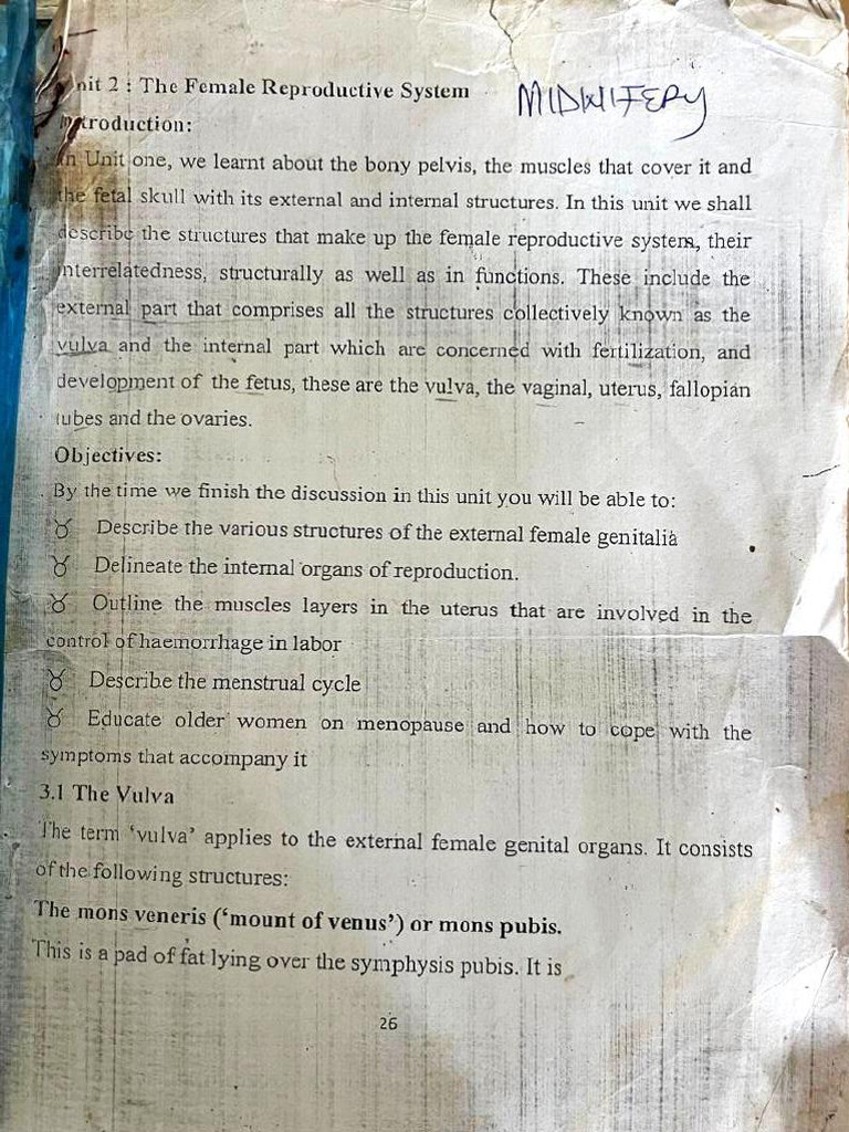 NSC 411 (Mrs Michael Chisom) 29 Oct 25 12 27 06 | PDF | Uterus | Ovary