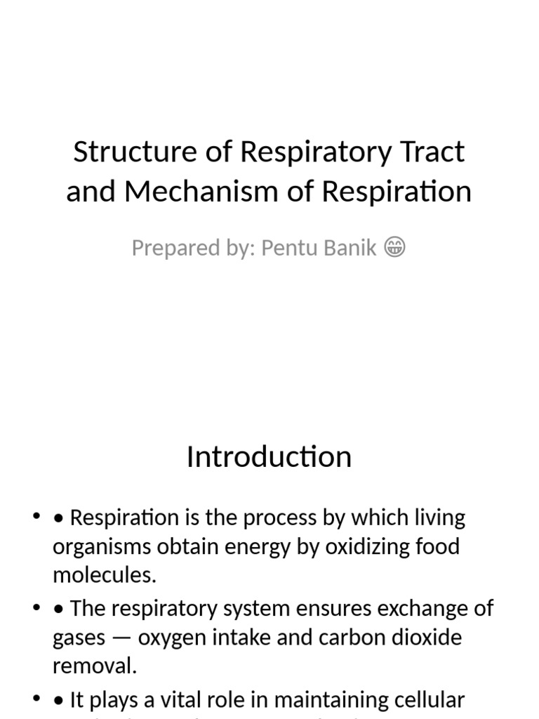 Structure_and_Mechanism_of_Respiration (1) | PDF | Respiratory System ...