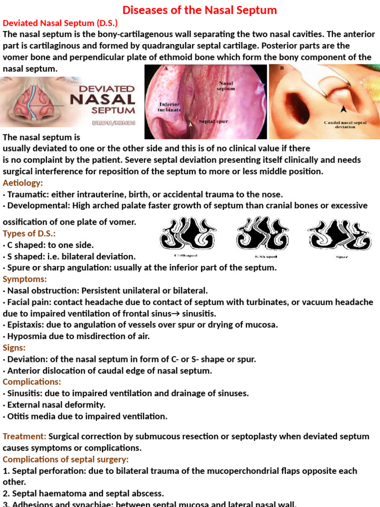 Disease of The Nasal Septum | PDF | Human Nose | Medical Specialties