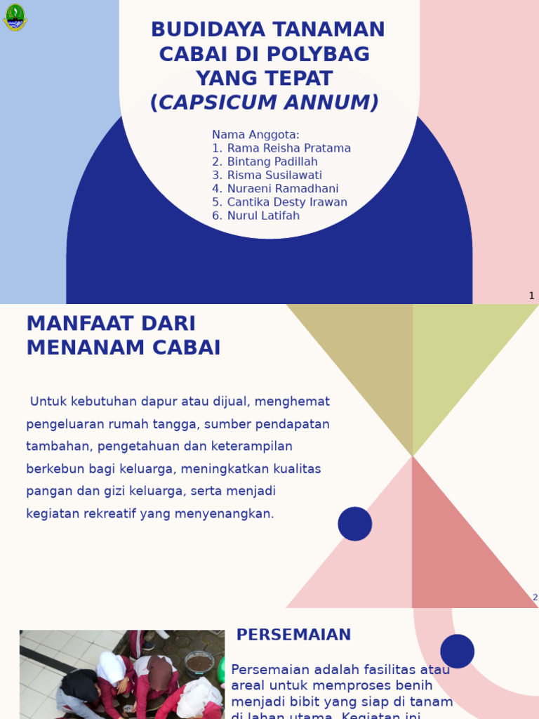 Panduan Lengkap Budidaya Cabai Di Polybag Yang Tepat | PDF