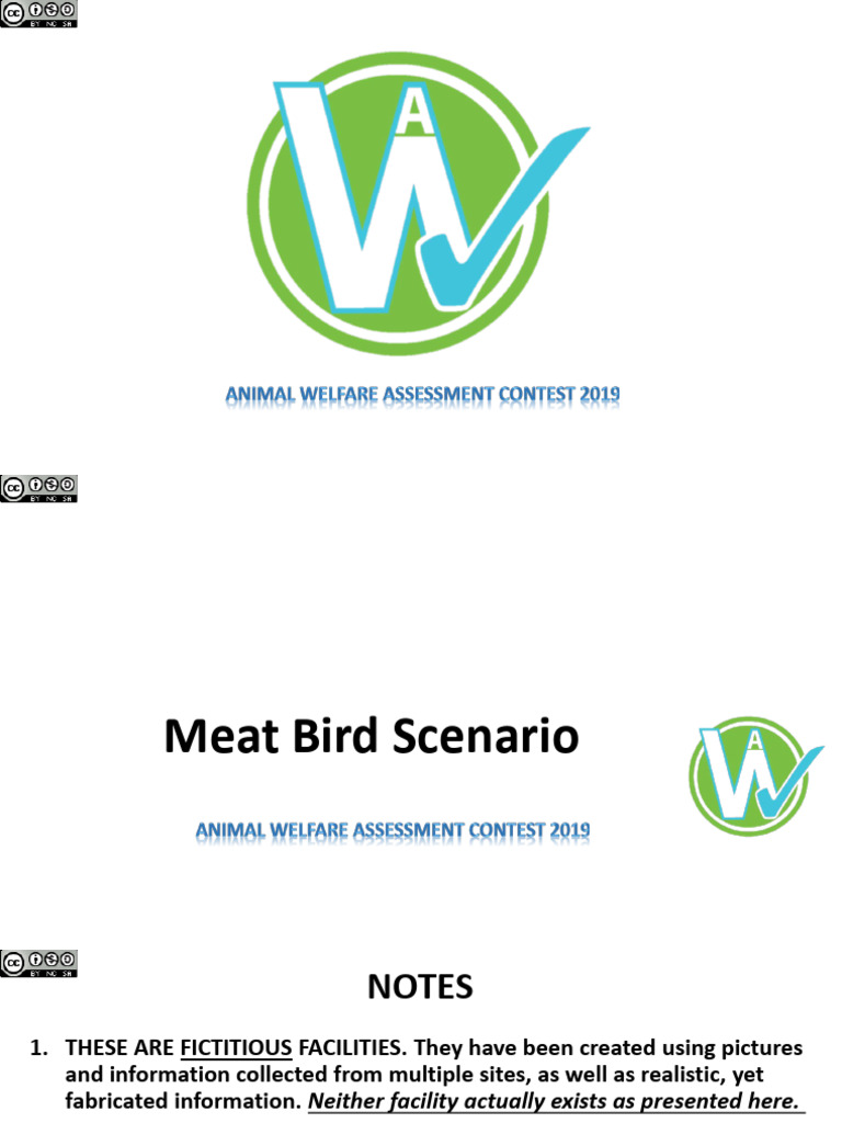 2019 Meat Bird Scenario | PDF