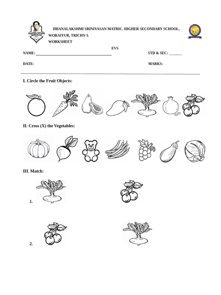 EVS Worksheet for Higher Secondary Students | PDF