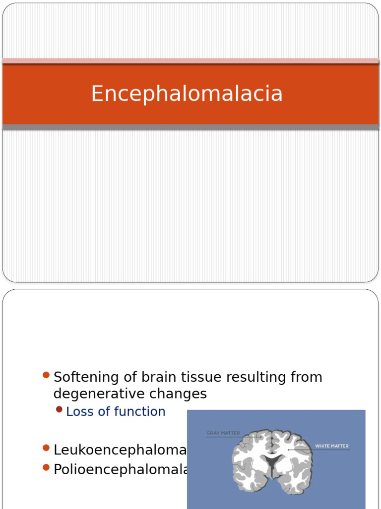 9B Encephalomalacia, Meningitis (15-12-2022) | PDF | Meningitis ...
