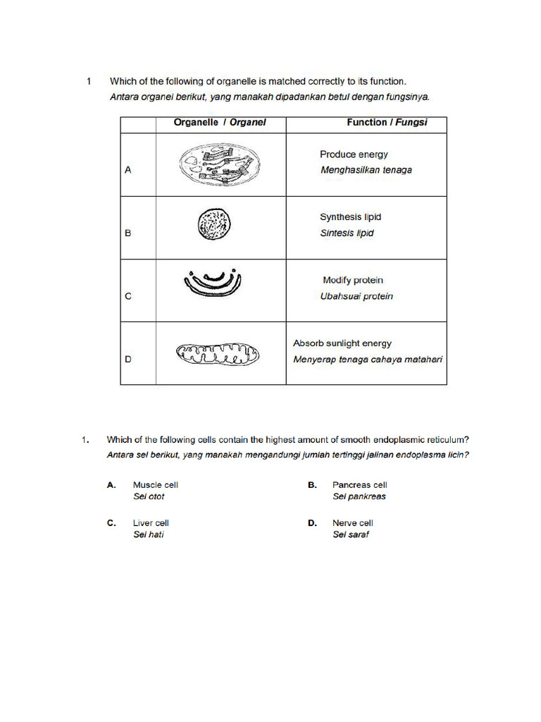 Soalan Biologi F4 Bab 2 | PDF