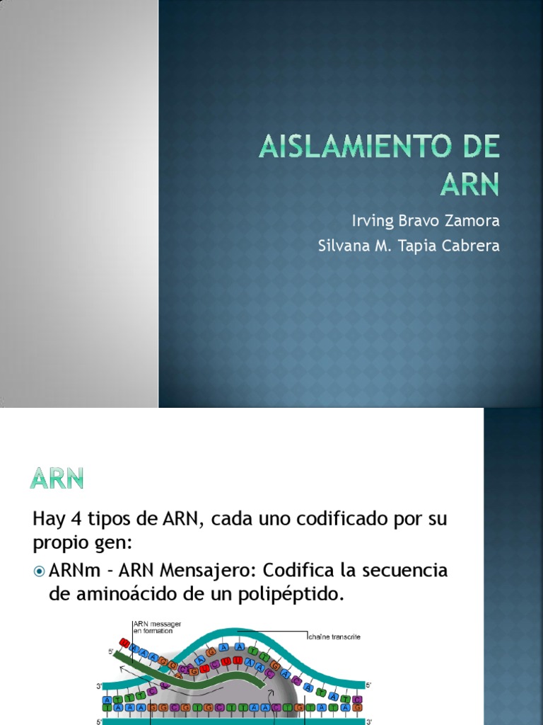 Aislamiento de ARN | PDF | Ciencia y matemáticas