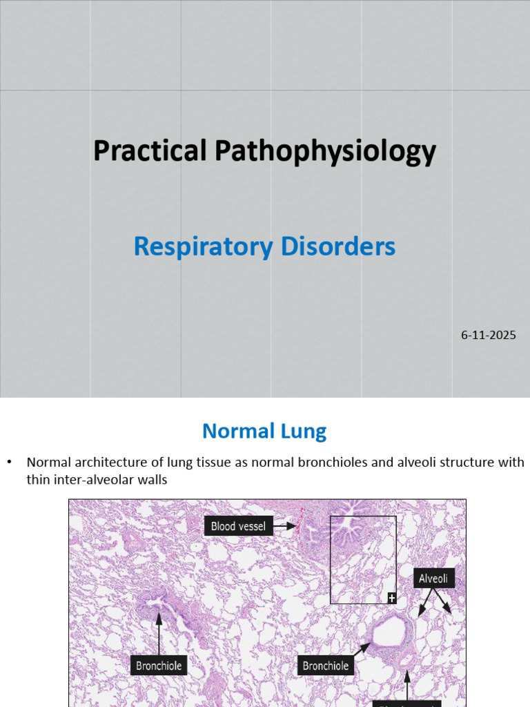 Pathophysiology of Respiratory Disorders | PDF | Lung | Medical Specialties