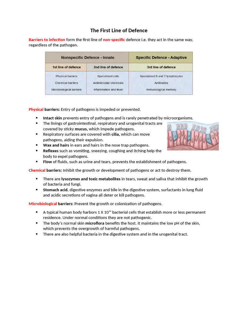 First Line of Defence | PDF
