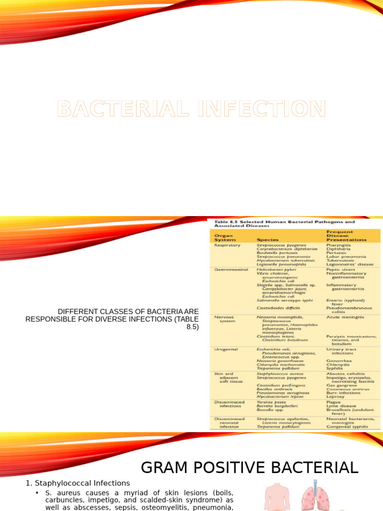 BActerial Infections | PDF | Streptococcus | Bacteria