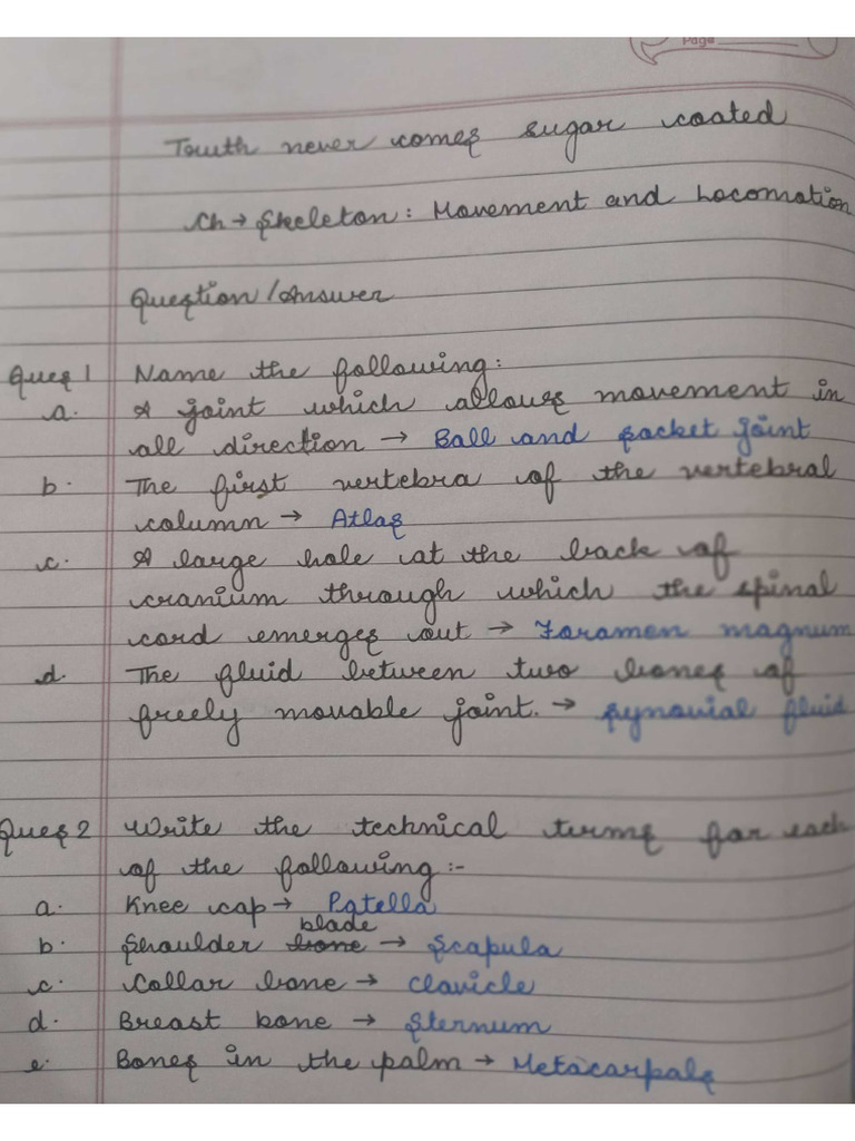 Skeleton - Movement and Locomotion | PDF