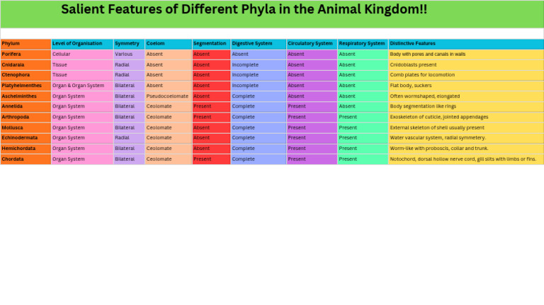 Animal Kingdom Phyla Features Overview | PDF
