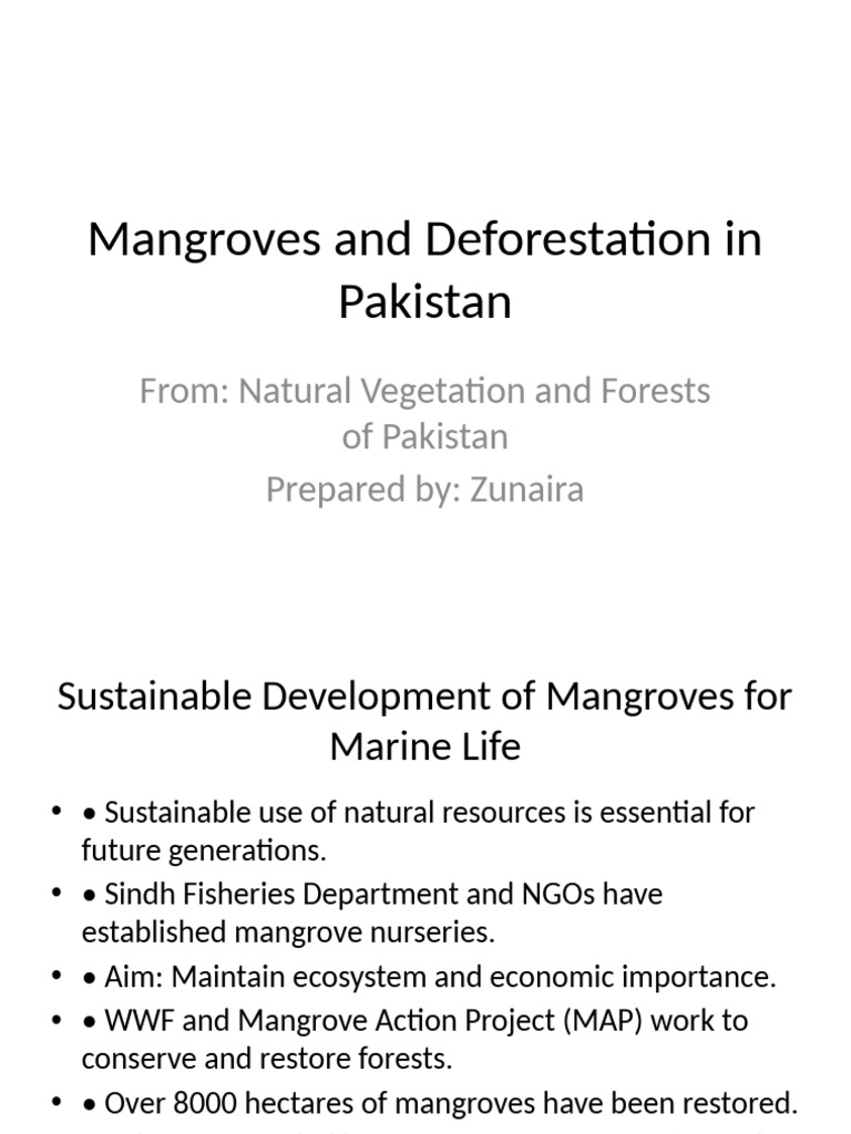 Mangroves and Deforestation in Pakistan | PDF