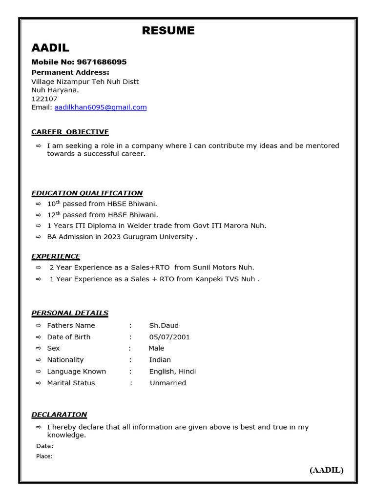 Aadil Resume 1 | PDF