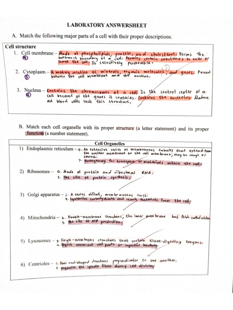 CHEMBIO - Cell Structure & Functions | PDF