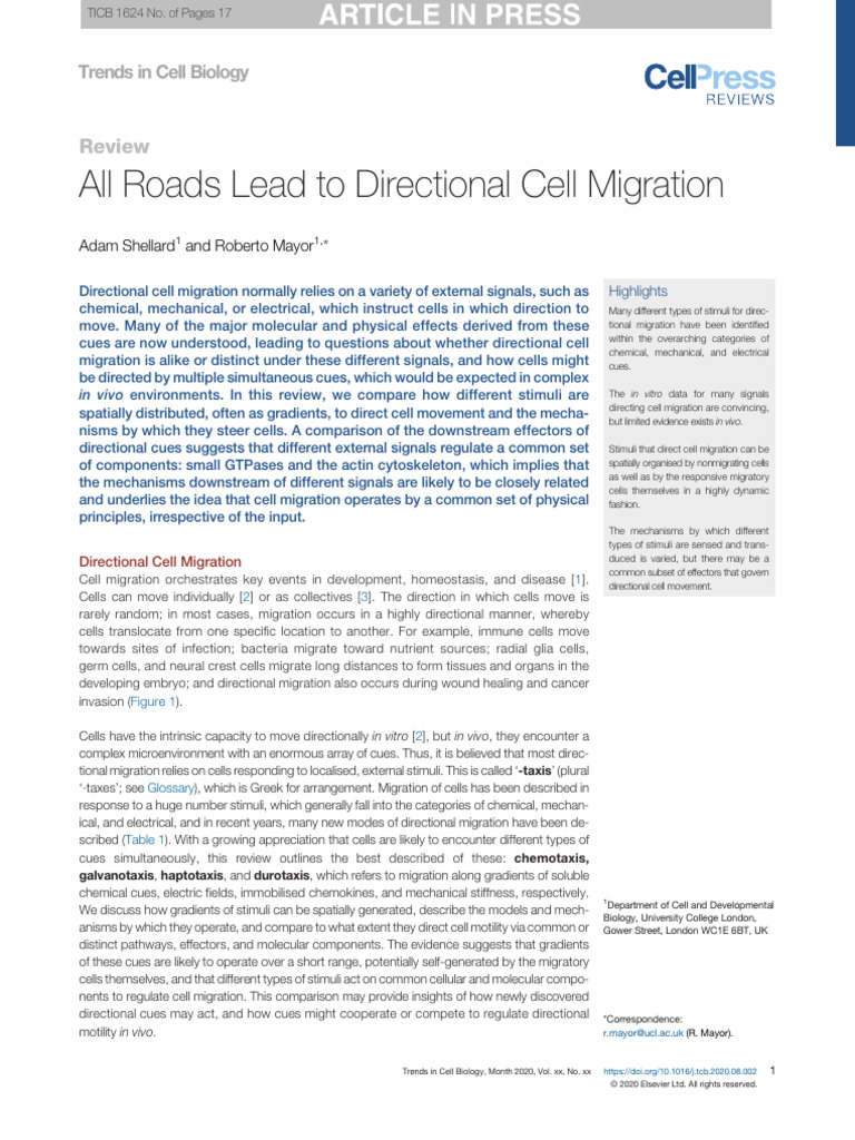 All Roads Lead To Directional Cell Migration | PDF | Chemotaxis | Cell ...