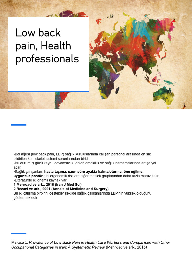 Low Back Pain J Health Professionals | PDF