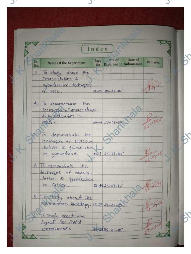 GPB-311, Practical Record | PDF