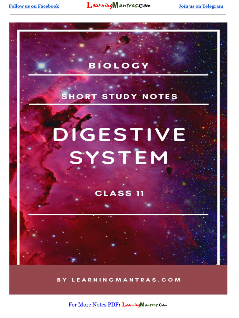 Digestive System Short Notes PDF in English | PDF | Stomach | Digestion