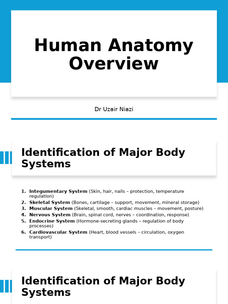 Human Anatomy Overview | PDF | Human Body | Anatomical Terms Of Location