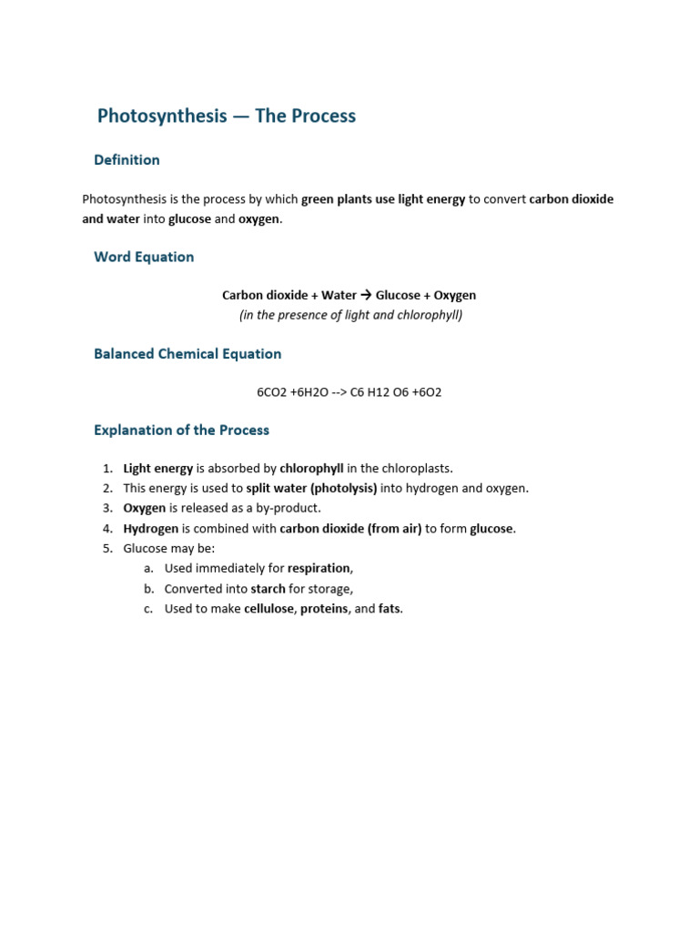 ? Photosynthesis - OxfordAQA | PDF | Stoma | Leaf