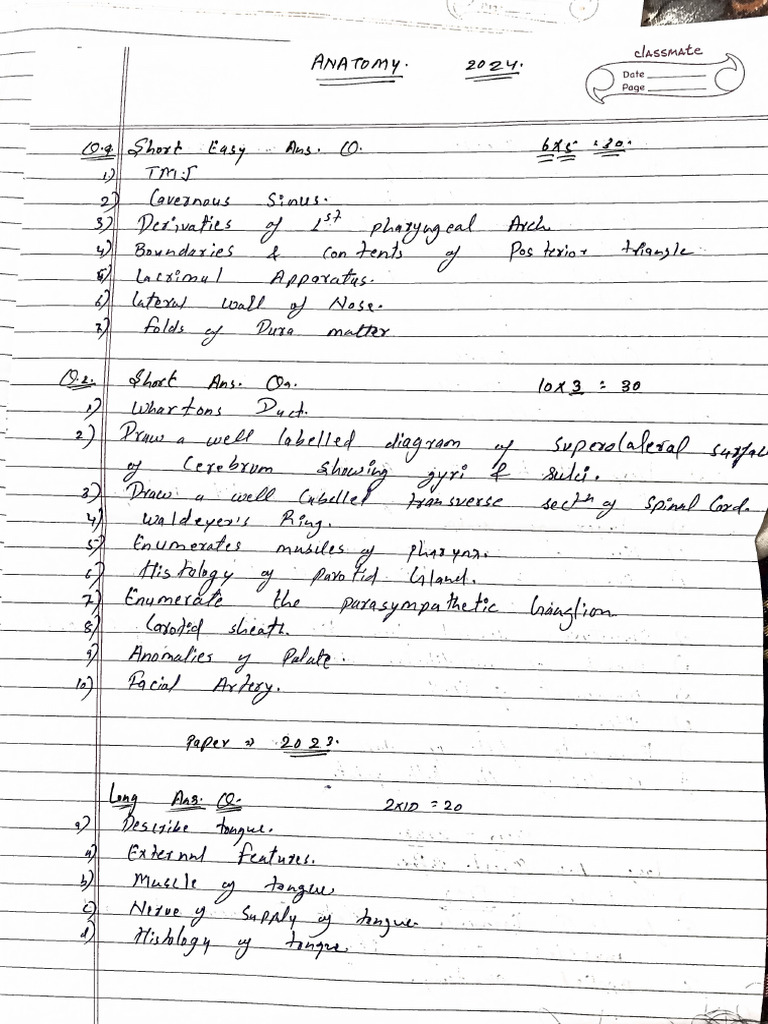 Anatomy Paper | PDF